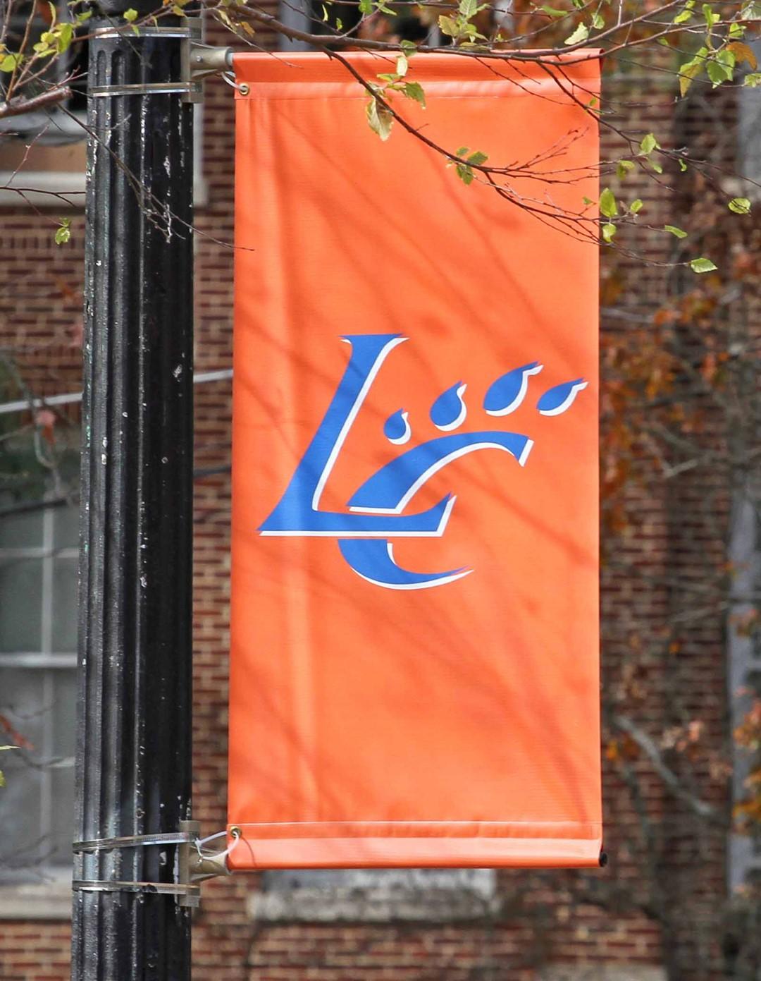 LC Banner (Large) – 318Central