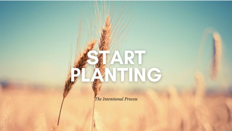 INTENTIONAL PROCESS – START PLANTING – 318Central