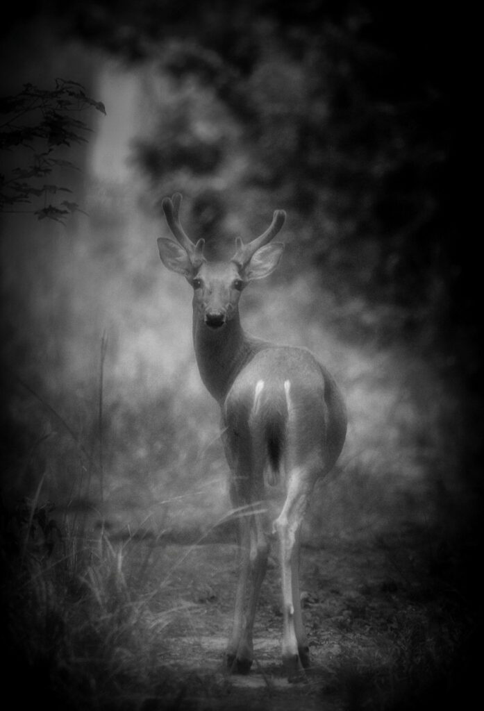 SPECIAL SEPTEMBER – 318Central