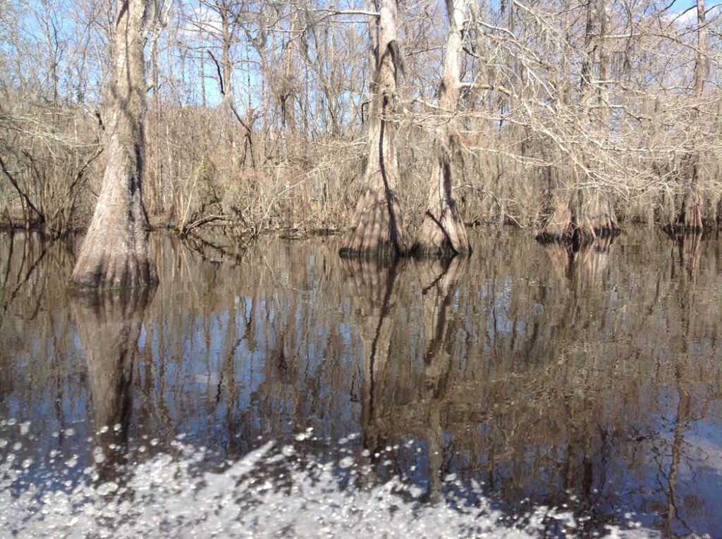 COME ENJOY THE BEAUTY AND BOUNTY OF SPRING BAYOU IN AVOYELLES PARISH ...