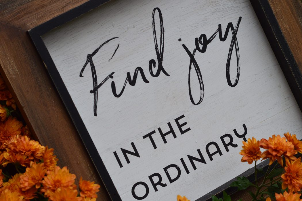 CURIOSITY COTTAGE: FINDING JOY IN THE JOURNEY – 318Central