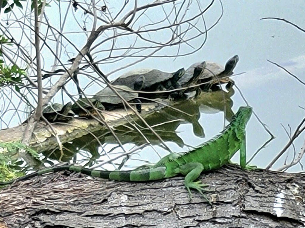 “MAKIAH” – 318Central