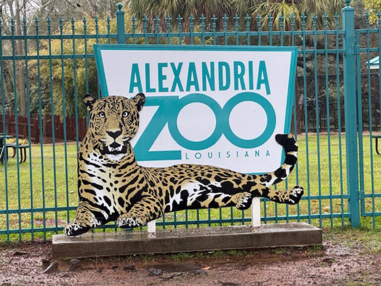 THE FOUNDING OF THE ALEXANDRIA ZOO – 318Central